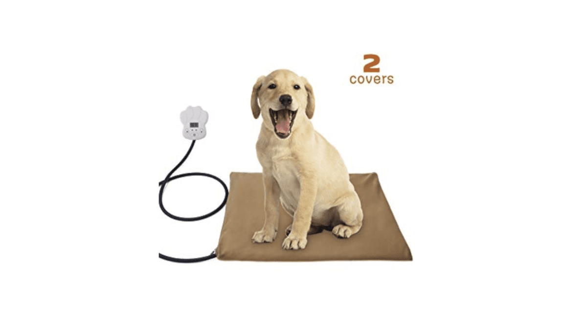 Coussins et tapis chauffants pour chien en hiver : lequel choisir en 2025