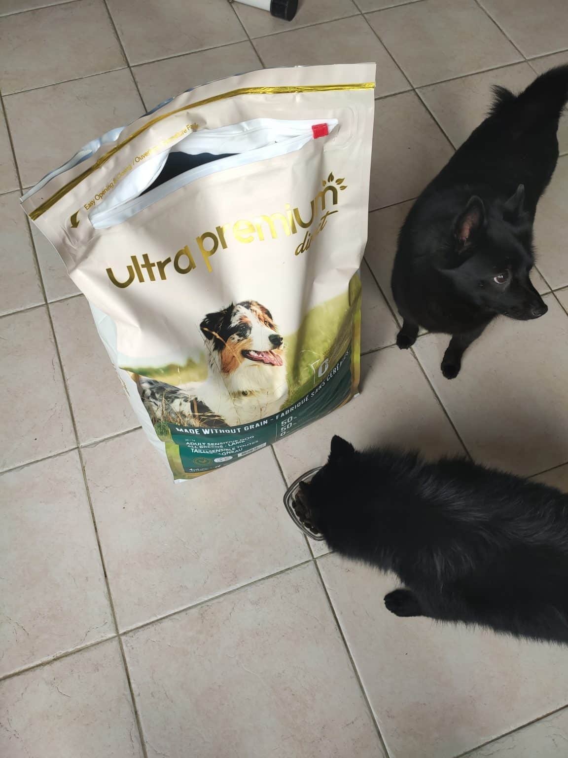 Ultra Premium Direct : que valent vraiment ces croquettes