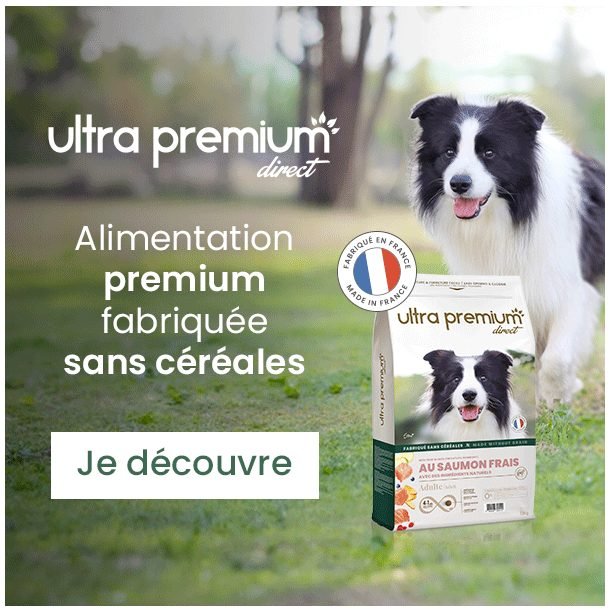 Ultra Premium Direct : que valent vraiment ces croquettes