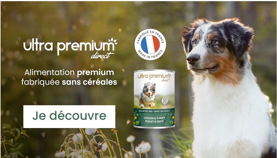 Ultra Premium Direct : que valent vraiment ces croquettes