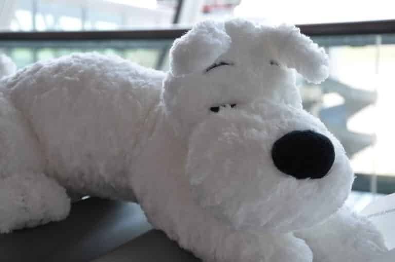 De quelle race est Milou, le chien de Tintin